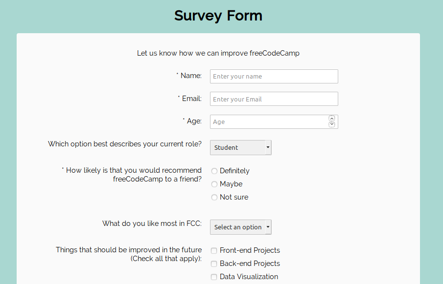 HTML CSS Projects Survey Form DevPractical
