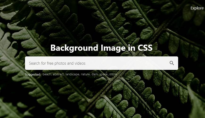 How To Add Background Image In HTML Using CSS Complete Guide Dev Practical
